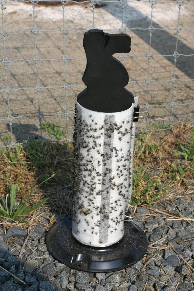 Knight Stick Biting Fly Trap (3 Disposable Wraps included) | BugJammer